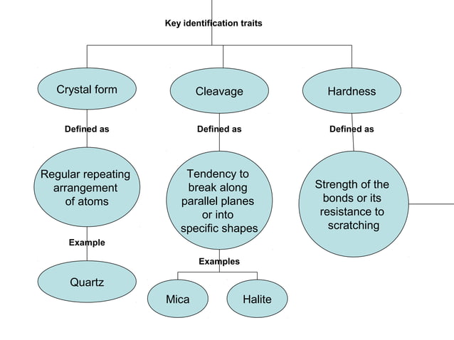 Concept Map Answers | PPT
