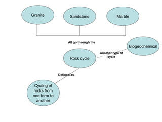 Cell Division Concept Map Answers