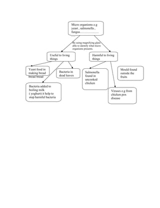 Concept map of microorganism | DOC
