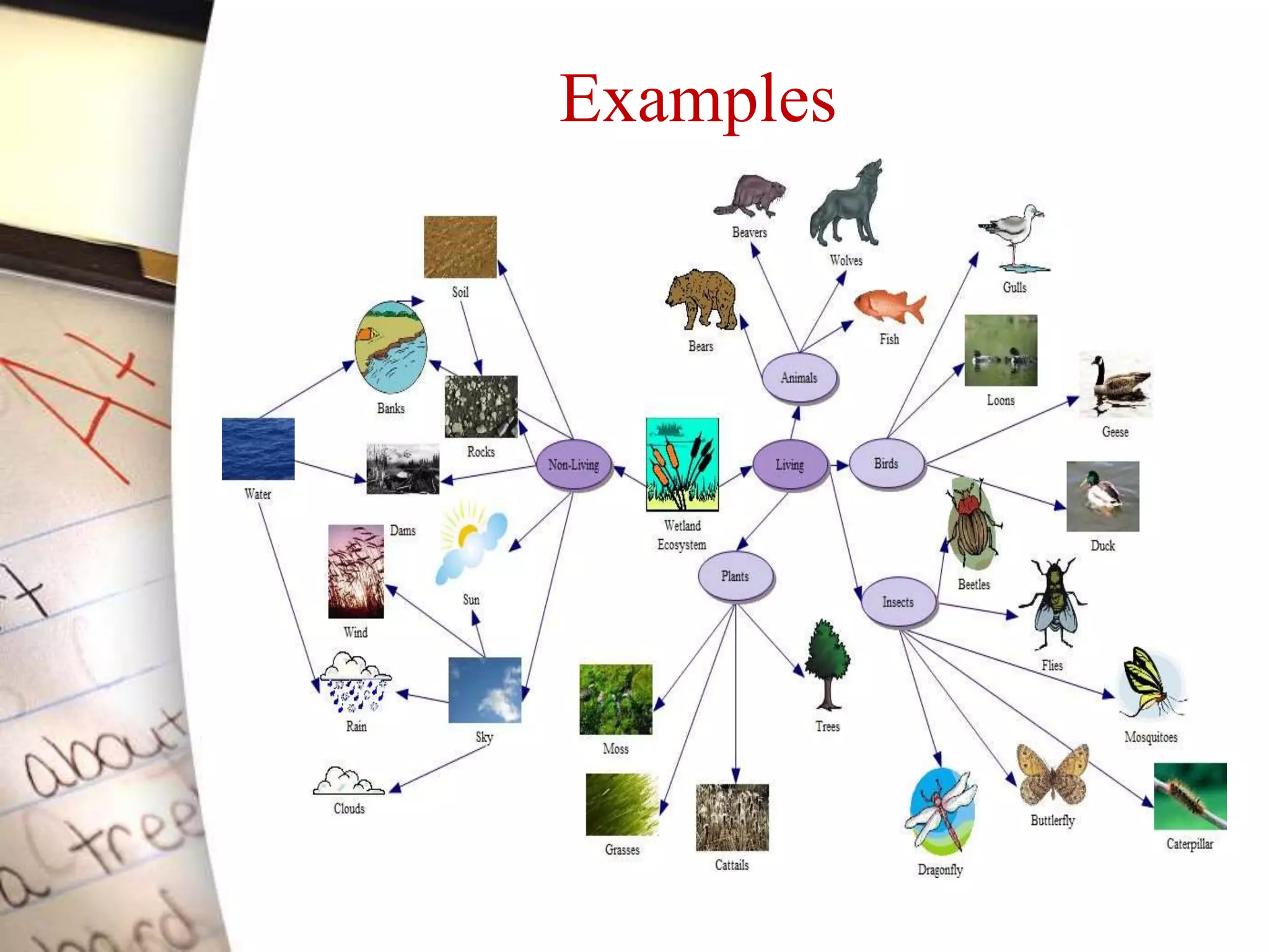 Concept map ppt | PPT