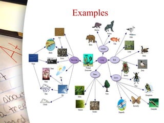 Concept map ppt | PPT