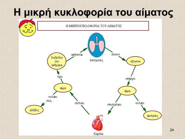 Concept Maps Ppt Ppt