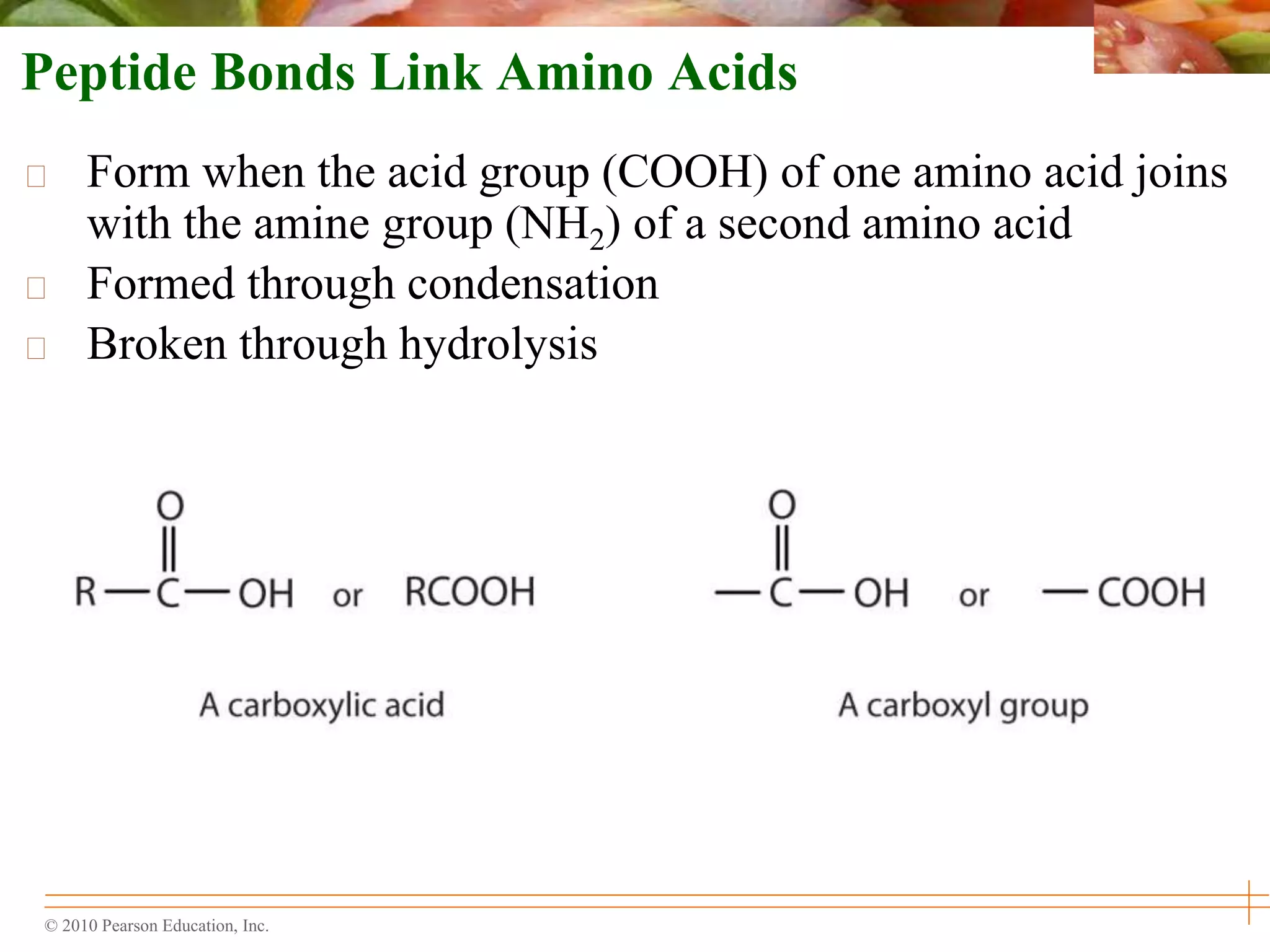Proteins And Amino Acidspptx