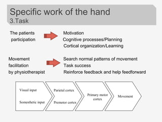 Concepto bobath hand by hand | PDF