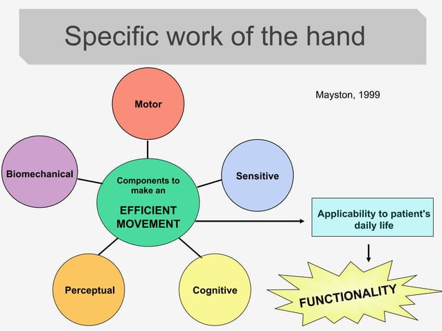 Concepto bobath hand by hand | PDF