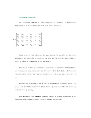 Concepto de matriz | PDF