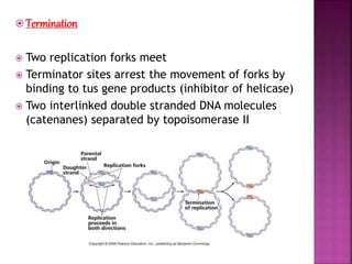 Concept of replication | PPT