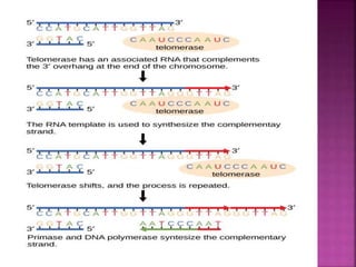 Concept of replication | PPT