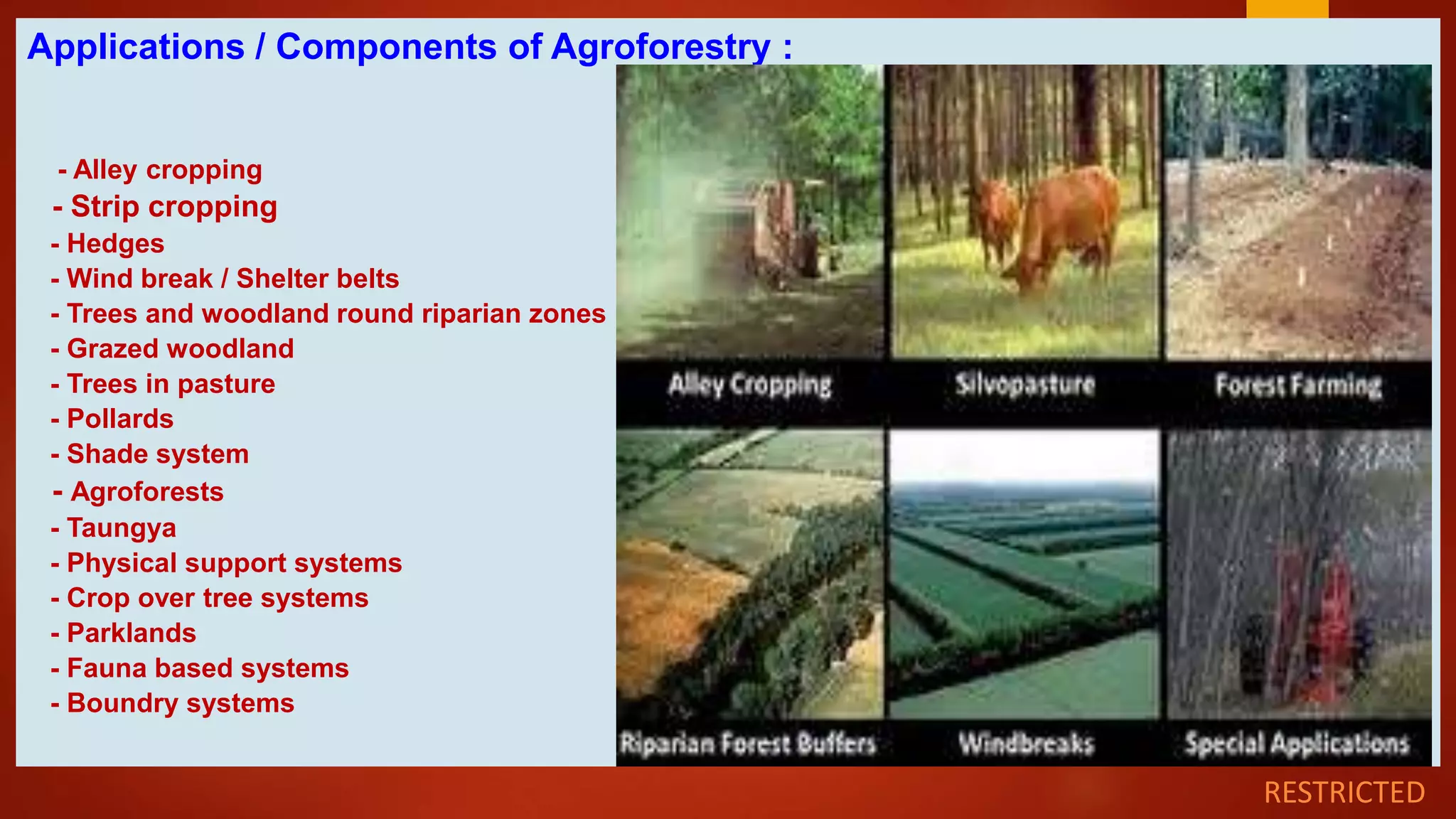 Concept of agro forestry | PPTX