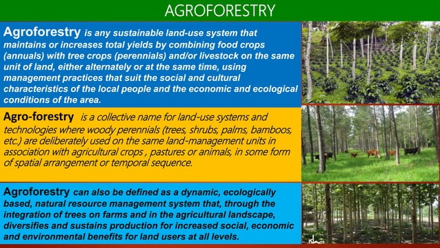 Concept of agro forestry | PPTX