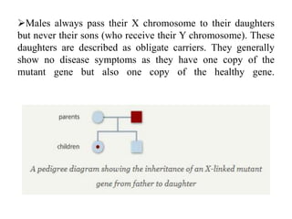 Concept of Allele.pptx