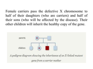 Concept of Allele.pptx