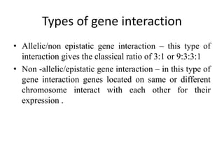 Concept of Allele.pptx