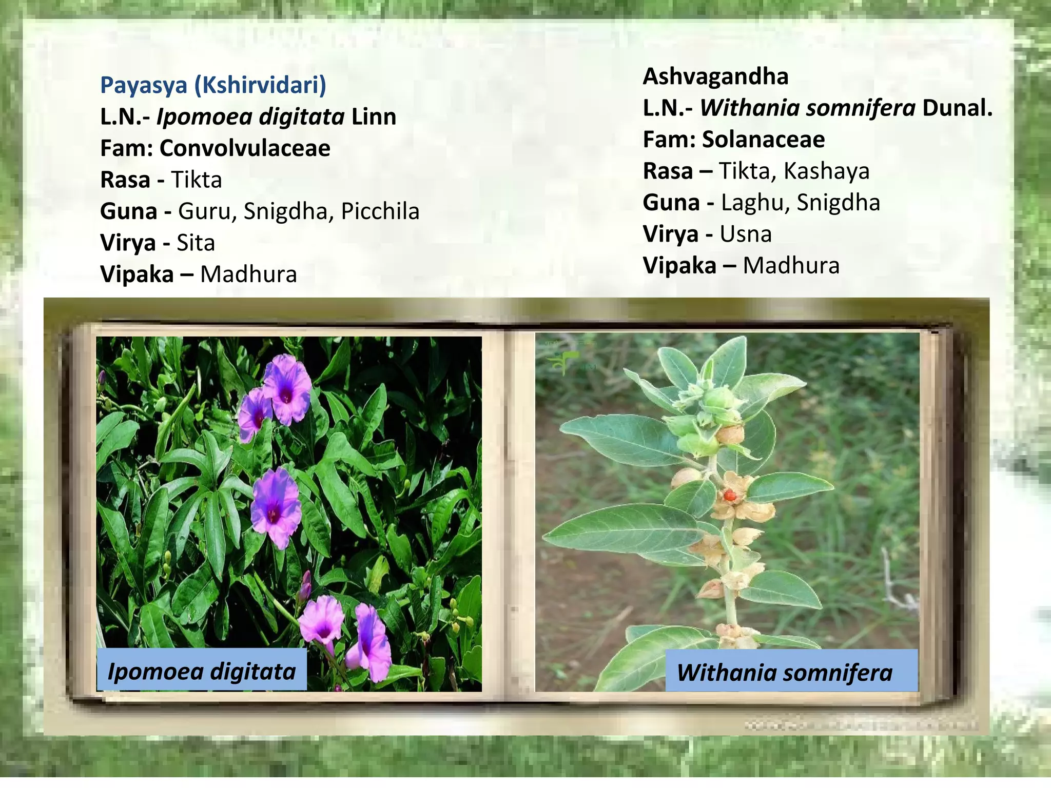 Concept of balya and brimhana (immunity and micronutrients) in ayurveda ...