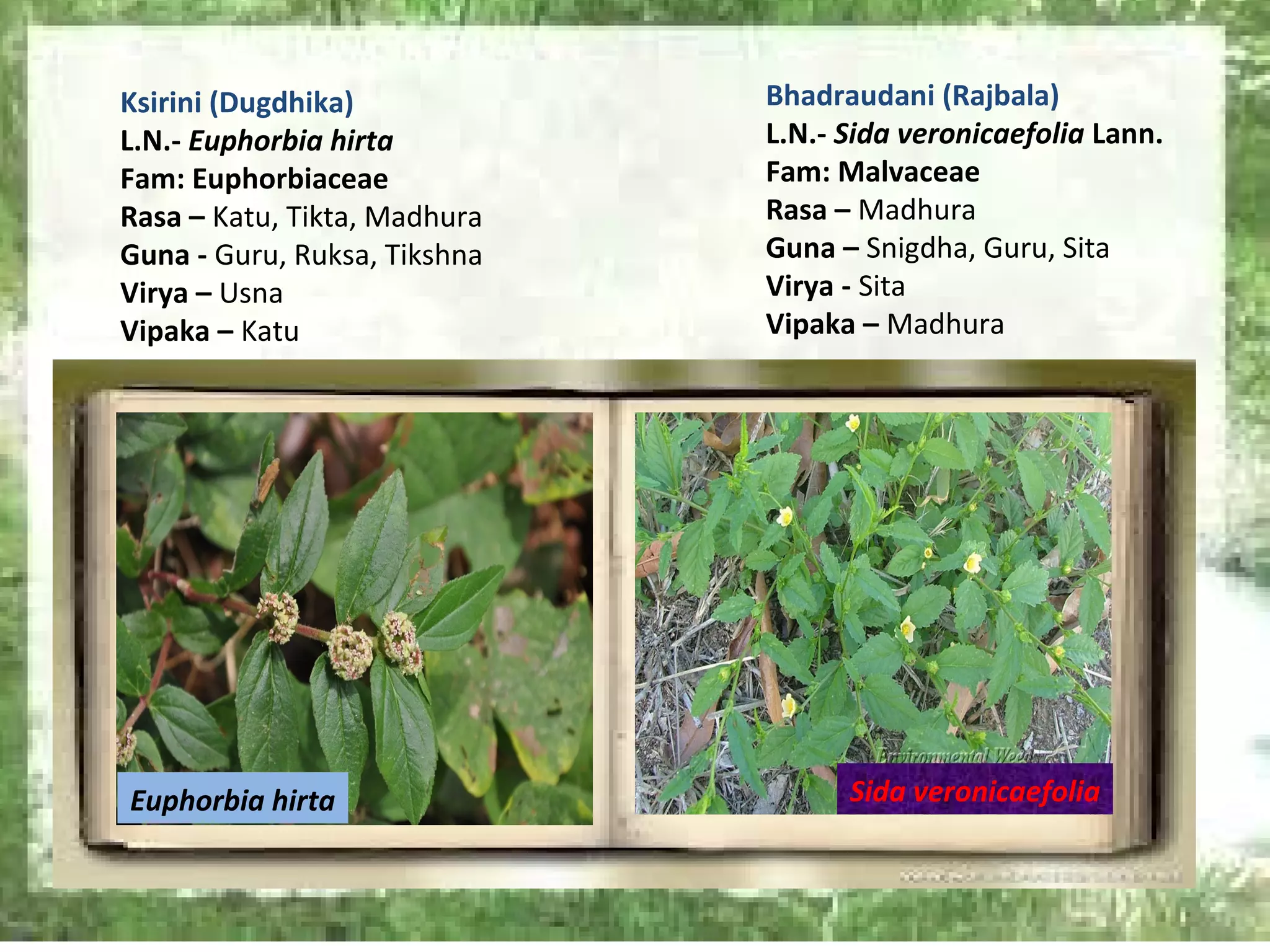 Concept of balya and brimhana (immunity and micronutrients) in ayurveda ...