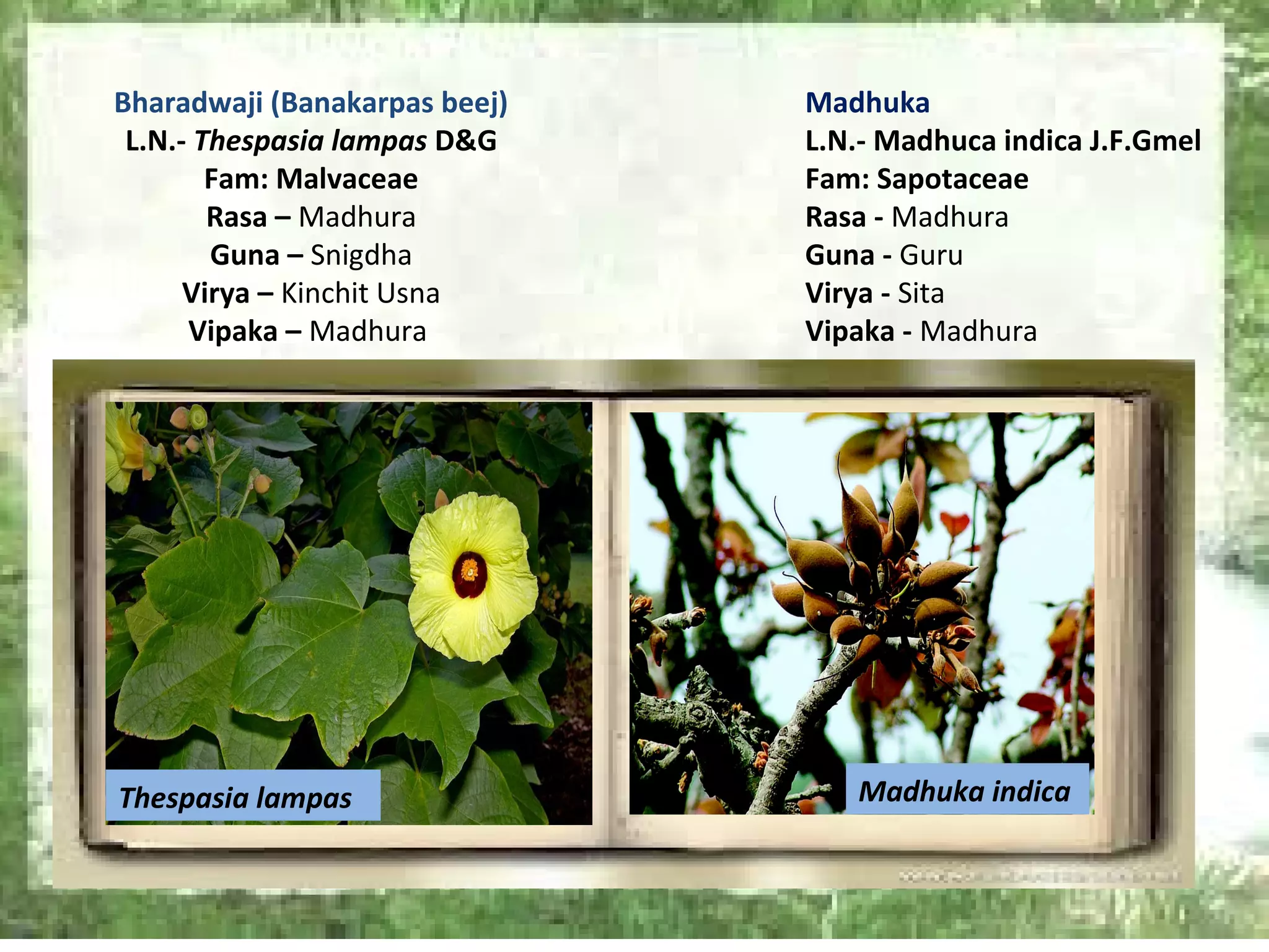 Concept of balya and brimhana (immunity and micronutrients) in ayurveda ...
