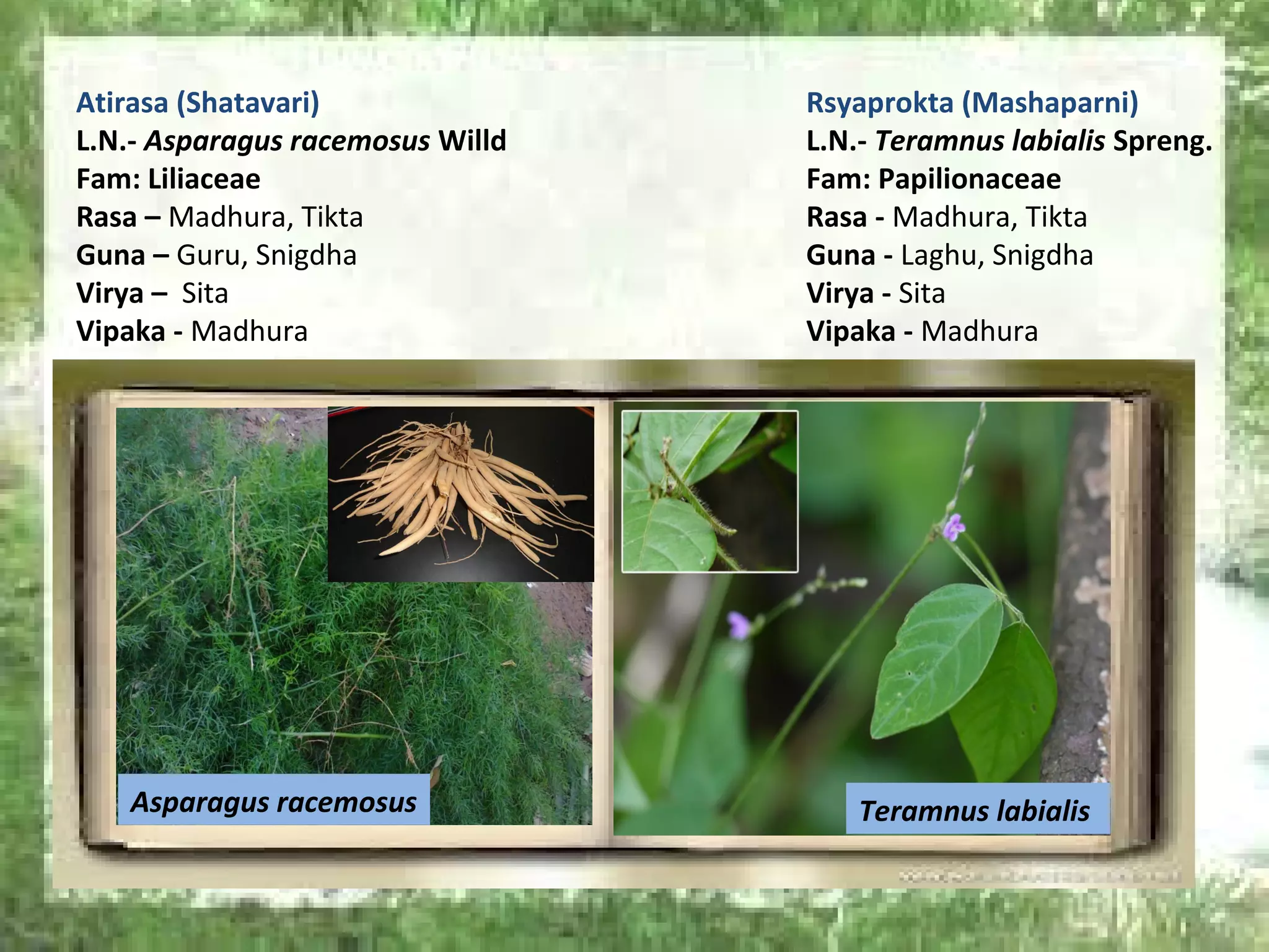 Concept of balya and brimhana (immunity and micronutrients) in ayurveda ...