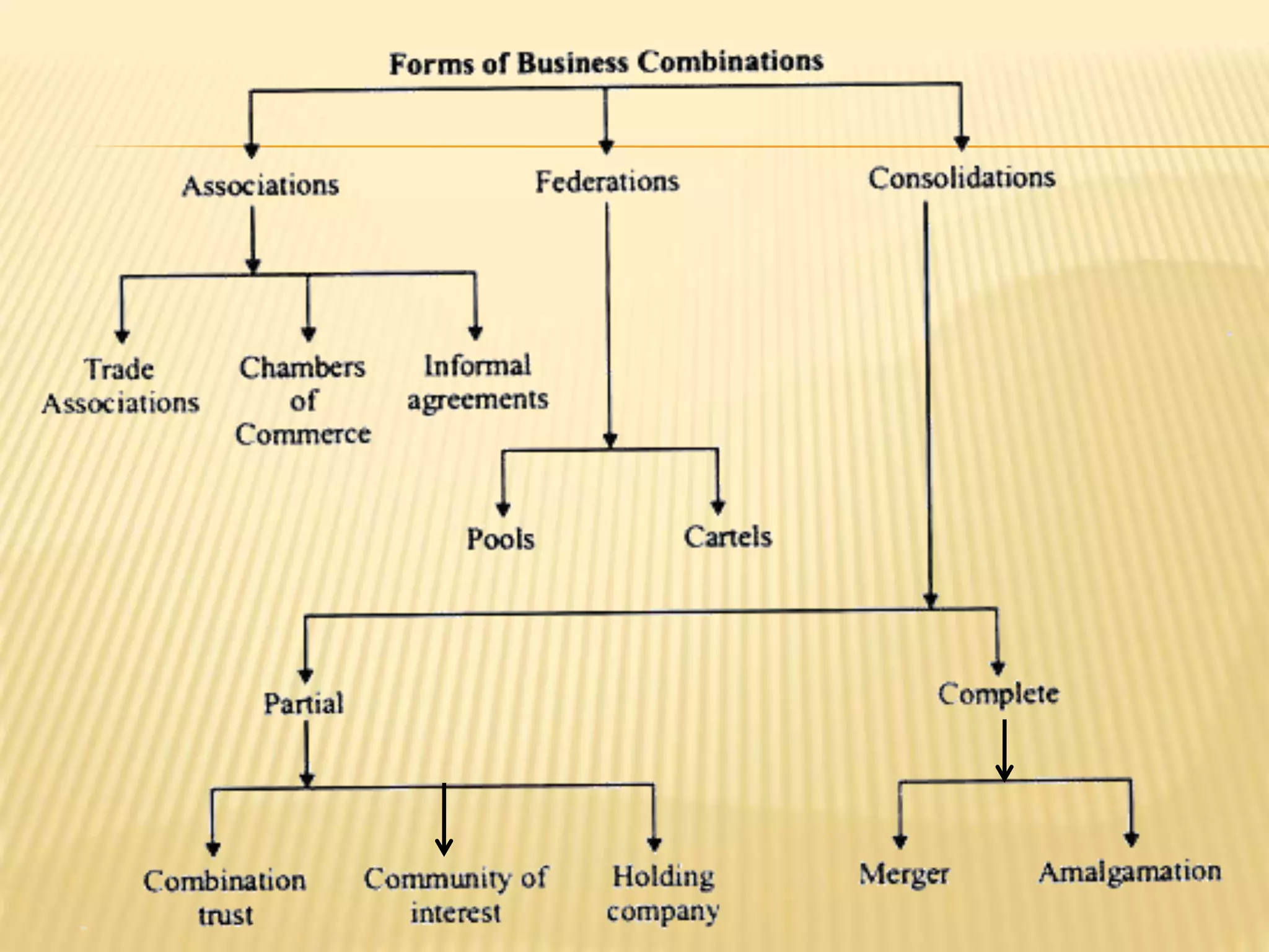 Concept of business combination | PPT