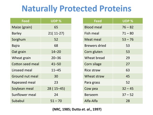 Concept of bypass protein | PPTX