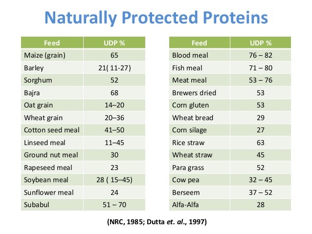 Concept Of Bypass Protein