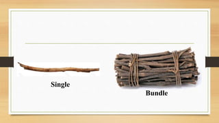 Concept of Care Bundle in Healthcare.pptx