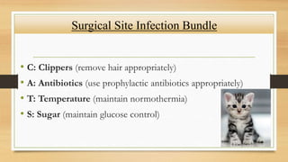 Concept of Care Bundle in Healthcare.pptx
