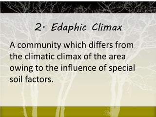 Concept of Climax | PPTX