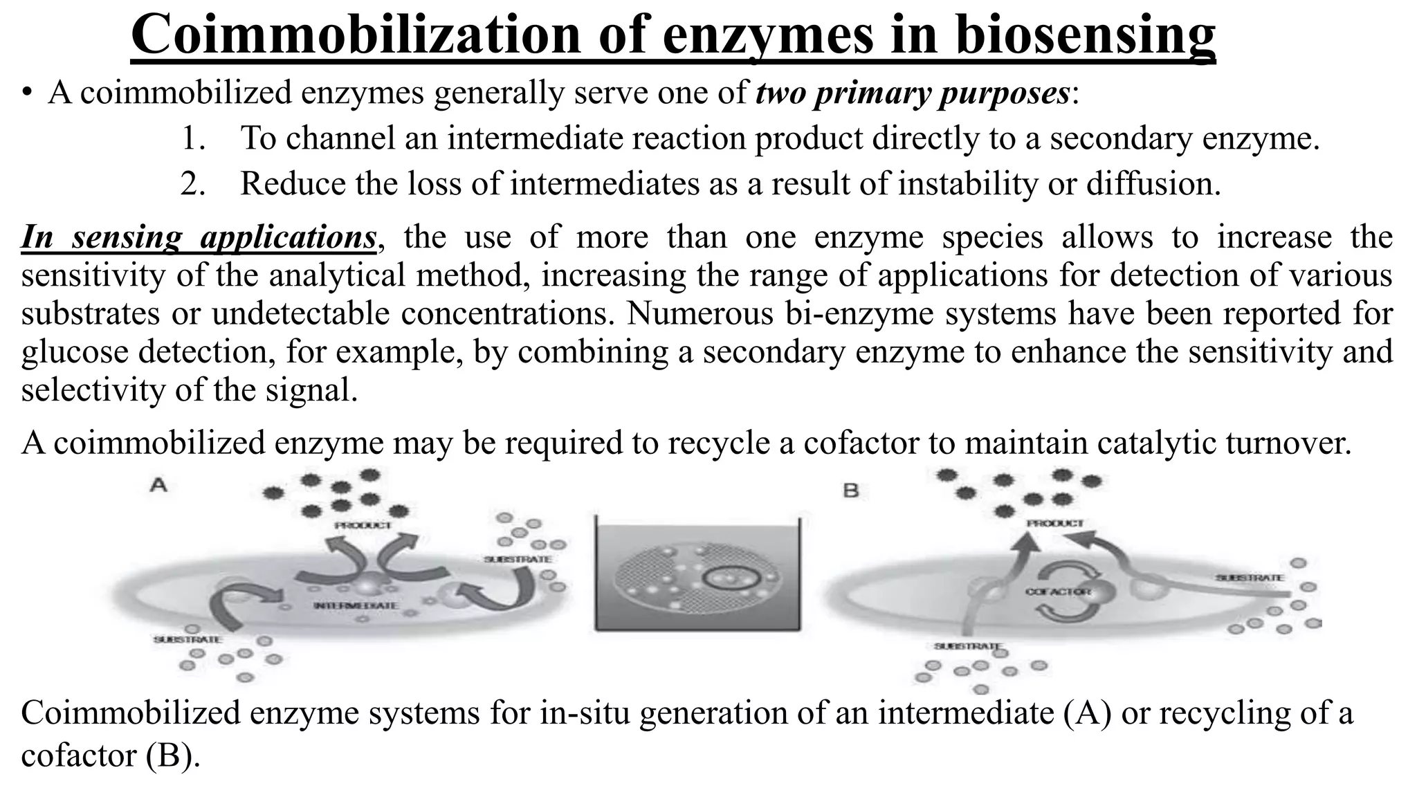 Concept of co immobilization enzyme | PPTX
