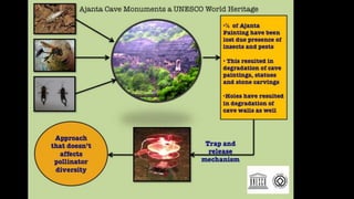 Concept of Conservation.pptx