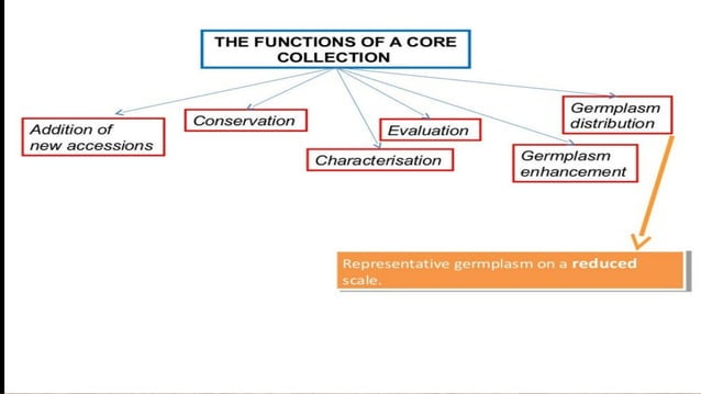 Concept of core and mini-core collection.pptx