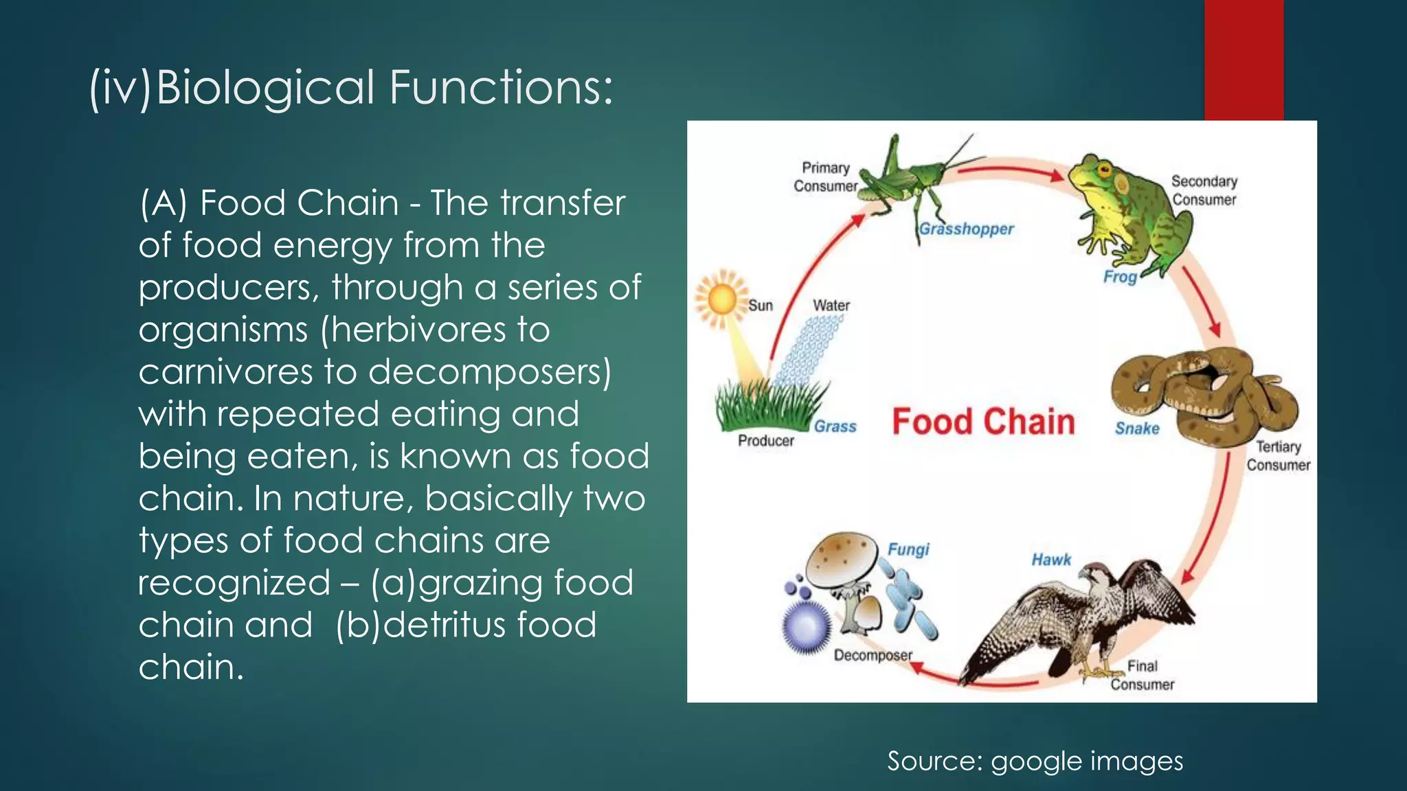 Concept of ecosystem | PDF