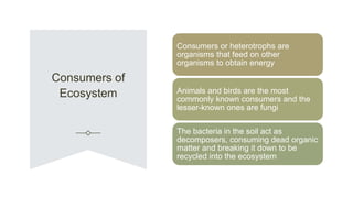 Concept of Ecosystem.pptx