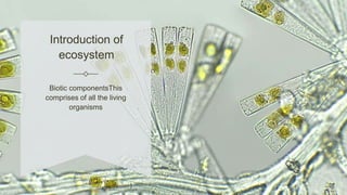 Concept of Ecosystem.pptx