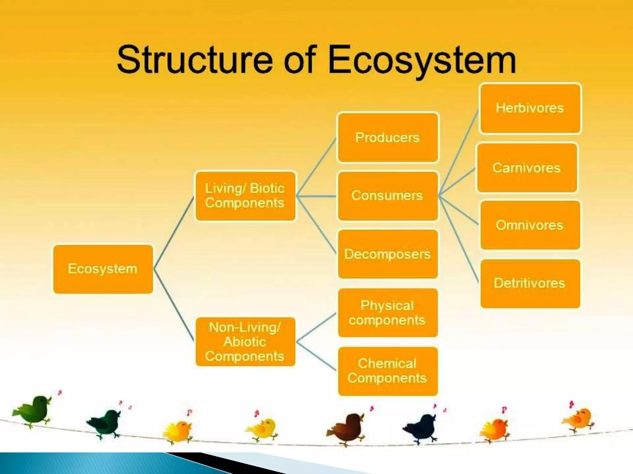 Concept of Ecosystem | PPTX