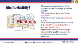 Economics - Concept of Demand and Supply Elasticity | PDF