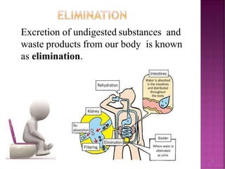 Concept of Elimination.pptx