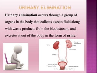 Concept of Elimination.pptx