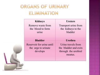 Concept of Elimination.pptx