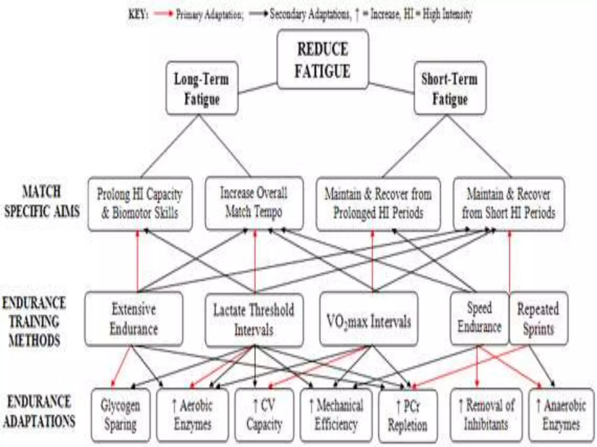 Concept of Endurance training | PPTX