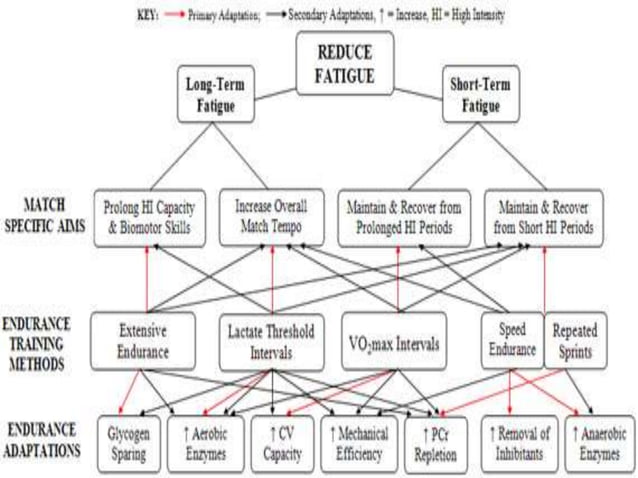 Concept of Endurance training | PPTX | Running and Jogging | Fitness ...