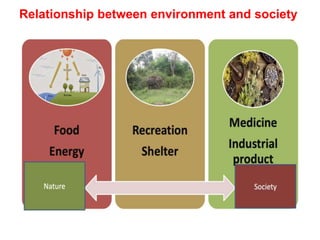 Concept of Environment.pptx