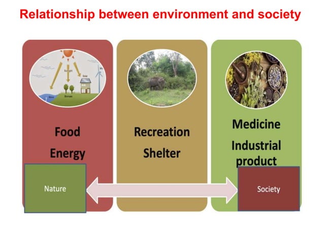 Concept of Environment.pptx