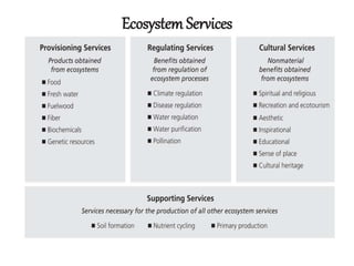 Concept of Environment.pptx