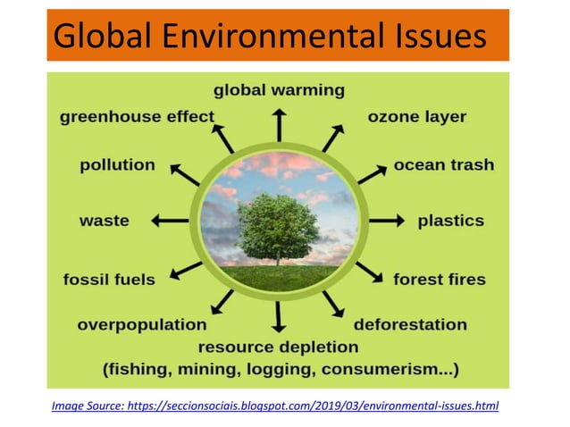 Concept of Environment.pptx