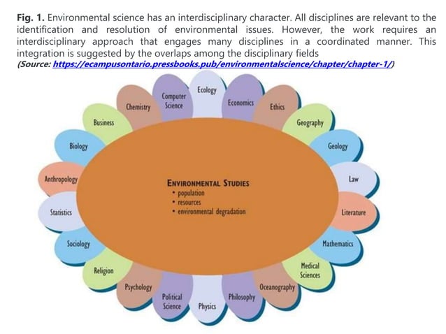 Concept of Environment.pptx