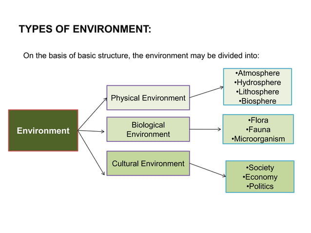 Concept of Environment.pptx