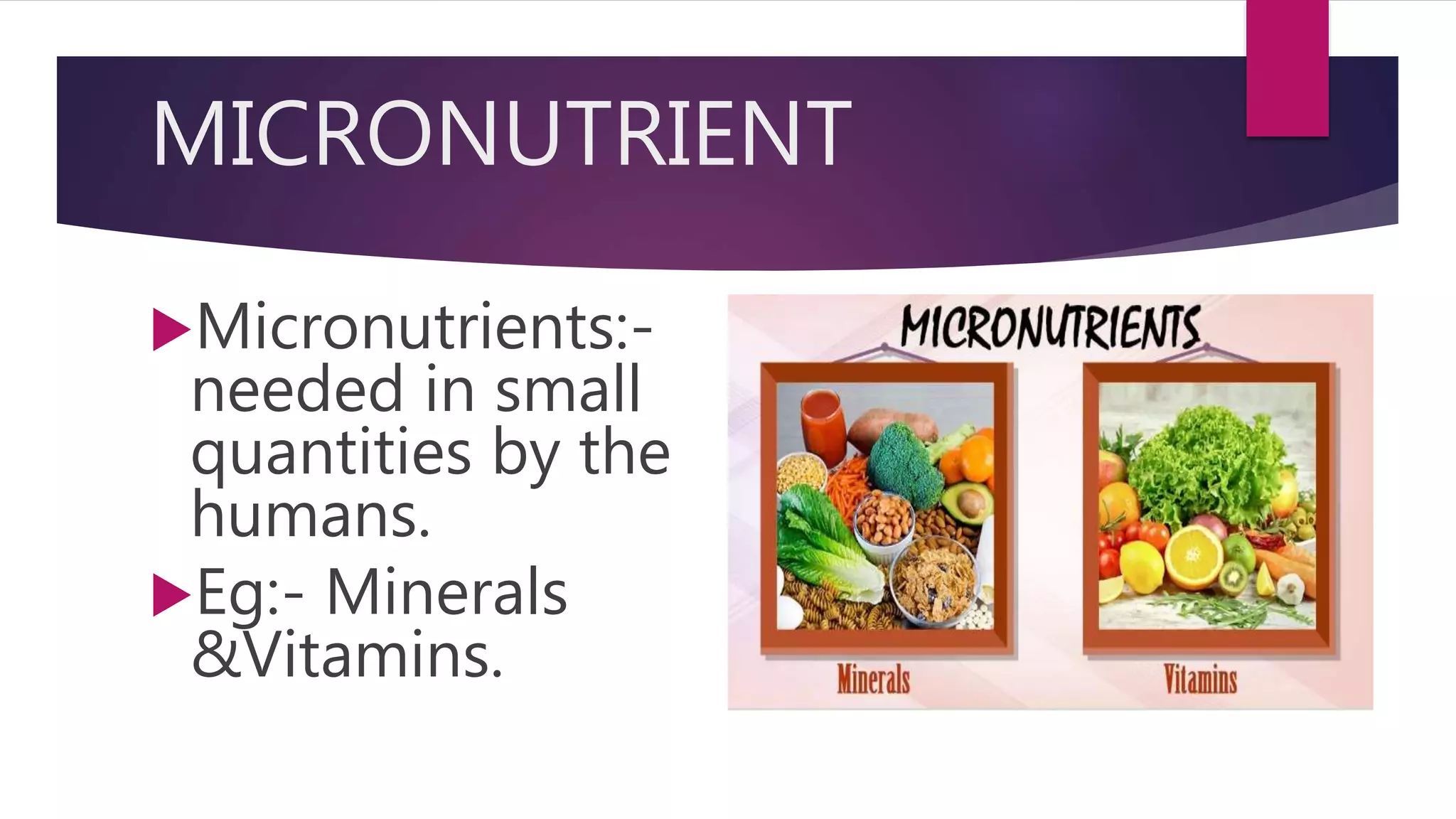Concept of food science | PPTX