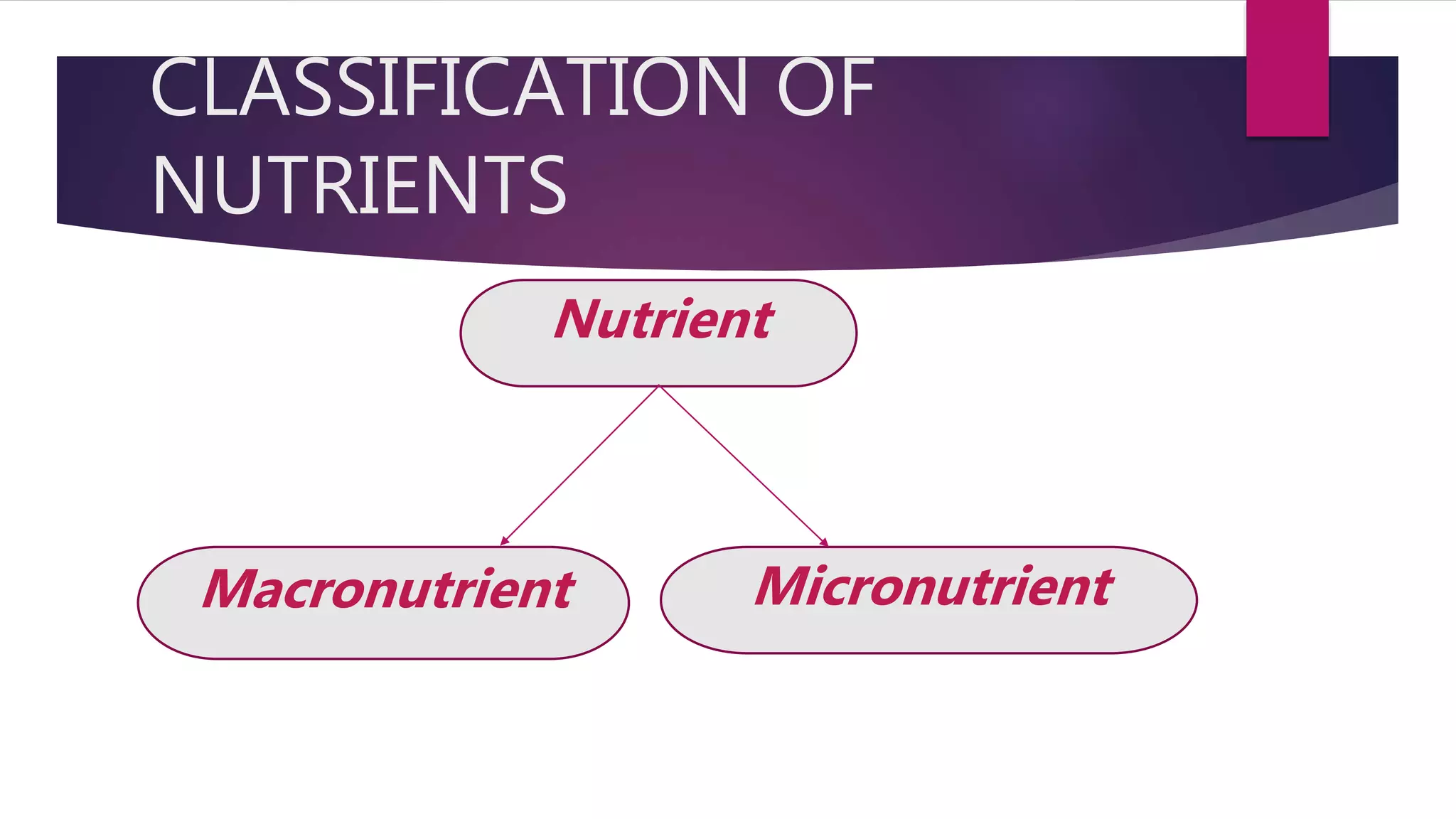 Concept of food science | PPTX