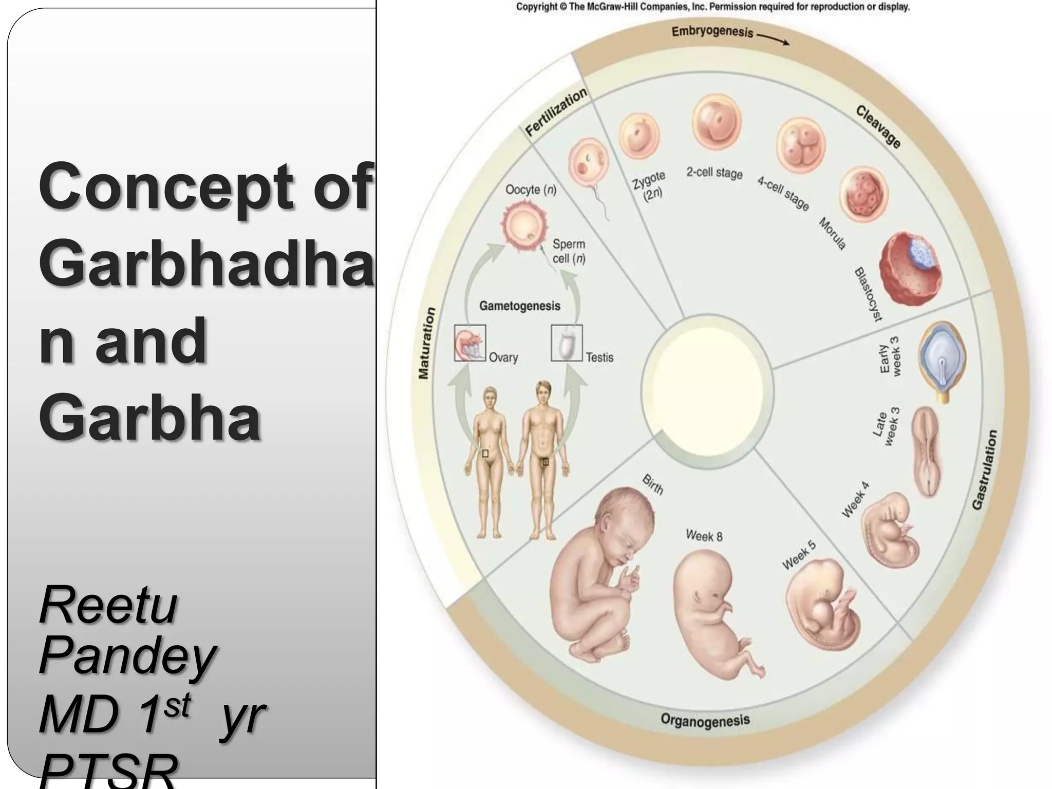 Concept of garbhadhan and garbha | PPTX