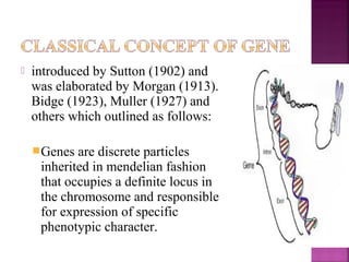 Concept of gene | PPT